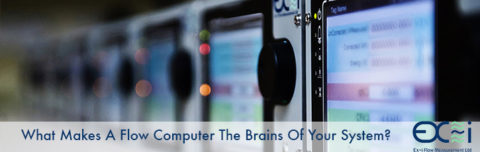 What Makes A Flow Computer The Brains Of Your System? - Ex~i Flow ...